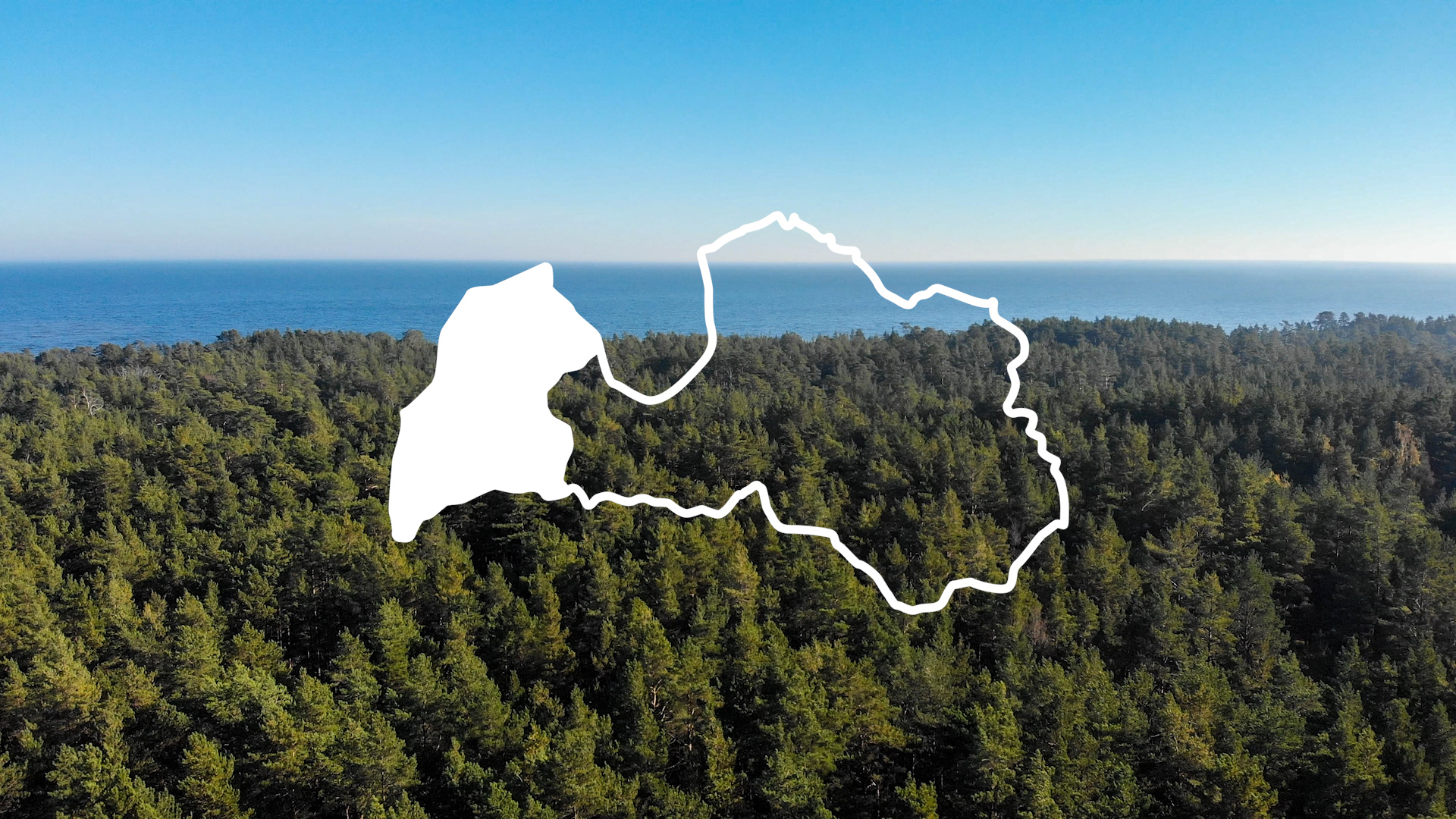 Aicinām pieteikties “Latvijas Valsts mežu” un VKKF atbalstītajai ...